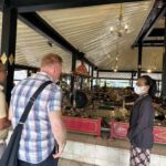 Yogyakarta: Inclusive Heritage Discovery Tour - What We Think About the Experience