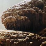 Yogyakarta: Jomblang Cave Private Day Tour - Jomblang Cave: The Crown Jewel