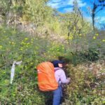 Yogyakarta: Mount Lawu 3-Day Trekking and Camping Tour - What Makes This Tour Valuable for Travelers