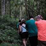 Yogyakarta : Mount Merapi Soft Trek and Botanic Village Tour - Why Travelers Love This Tour