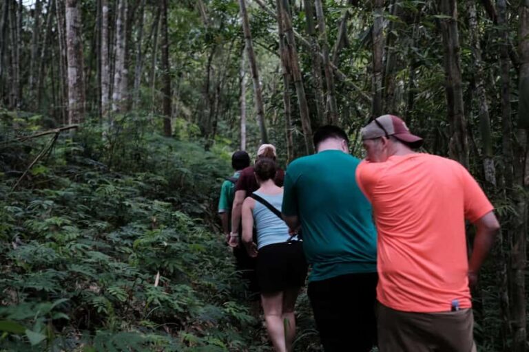 Yogyakarta : Mount Merapi Soft Trek and Botanic Village Tour - Why Travelers Love This Tour
