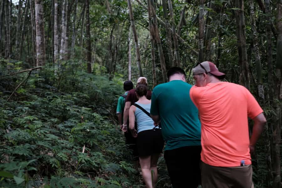 Yogyakarta : Mount Merapi Soft Trek and Botanic Village Tour - Why Travelers Love This Tour
