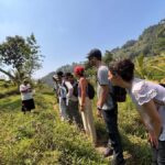 Yogyakarta: Rice Terrace Trek All Inclusive Guided Tour - The Experience of the Rice Terrace Trek