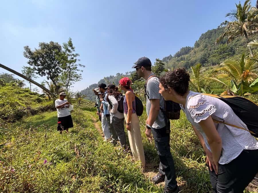 Yogyakarta: Rice Terrace Trek All Inclusive Guided Tour - The Experience of the Rice Terrace Trek