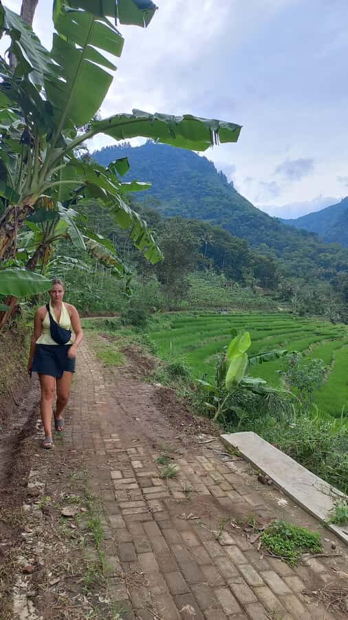 Yogyakarta :selogriyo temple, rice field trek& nepalvan java - Exploring Nepalvan Java’s Vegetable Plantations