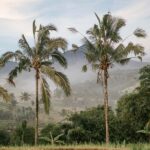 Yogyakarta : trip to Pindul cave + Timang beach + Guide - The Flow of the Day: Breaking Down the Itinerary