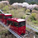 YokaBus Kirin Beer Fukuoka, Akizuki Castle and Hikosan Slopecar - Who Would Enjoy This Tour?