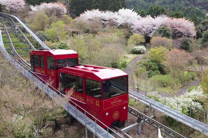 YokaBus Kirin Beer Fukuoka, Akizuki Castle and Hikosan Slopecar - Who Would Enjoy This Tour?