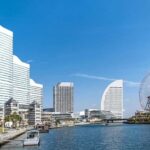 Yokohama Cherry Blossom Tour Full Day and Local Expert Guide - What Travelers Say