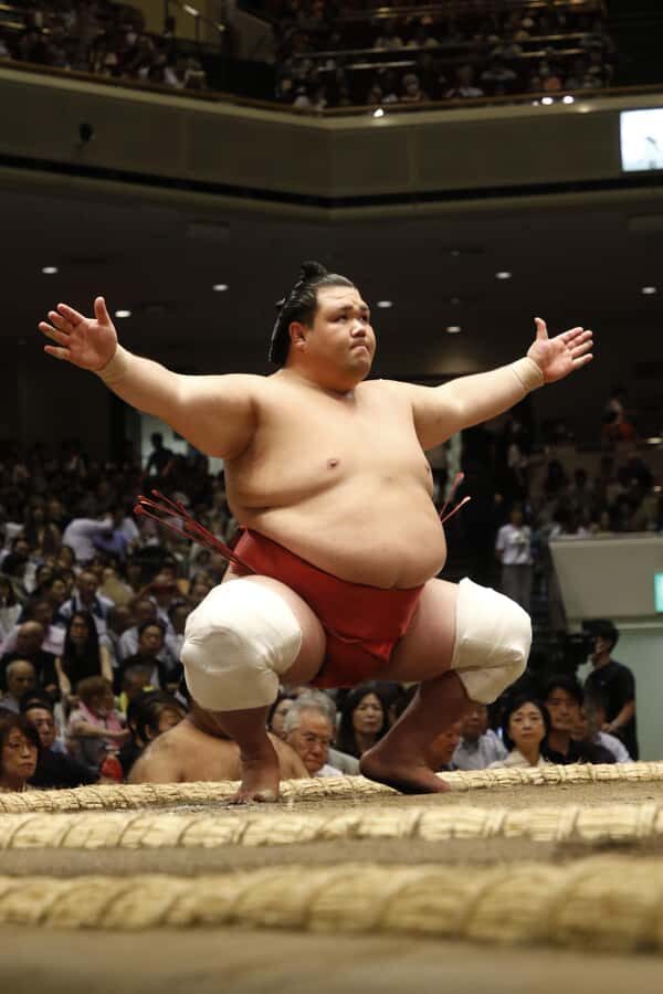 Yokohama Sumo Tour from Tokyo (Ticket Included) | Apr 16 - The Value of the Tour: Is It Worth It?