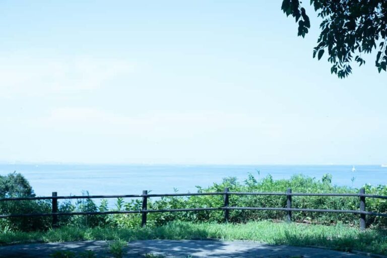 Yokosuka: Sarushima Island Guided Tour - Exploring Sarushima: Nature, History, and Mystique