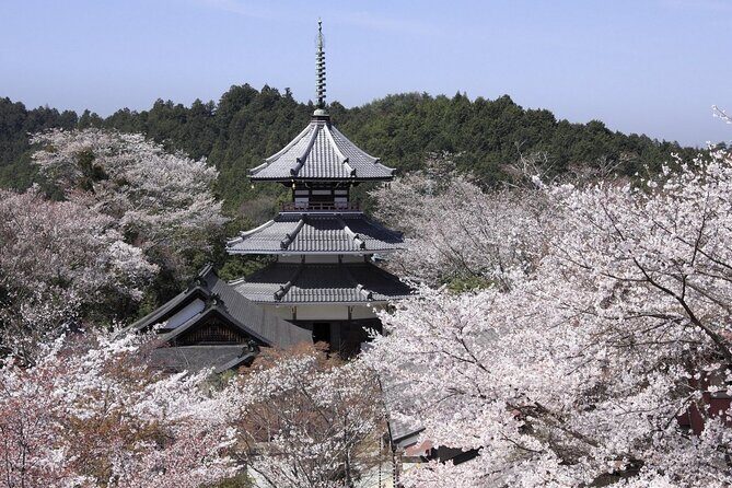 Yoshinoyama : the Roots of Shugendo Spirituality - Who Will Love This Tour?