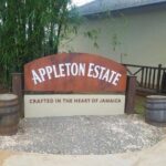 YS Falls and Appleton Estate Private Rum Tour - Transportation and Logistics: Comfort and Convenience