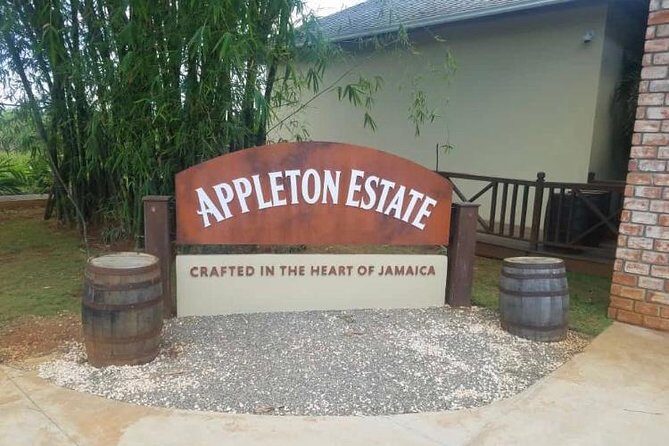 YS Falls and Appleton Estate Private Rum Tour - Transportation and Logistics: Comfort and Convenience