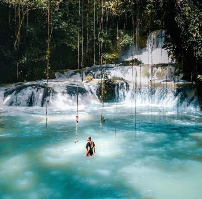 Ys Falls and Appleton Estate Private Tour - Itinerary Breakdown: A Day of Natural and Cultural Delights