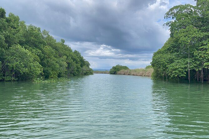YS Falls and Black River Safari Including Pelican Bar Tour - Floyd’s Pelican Bar: A Quirky Caribbean Icon