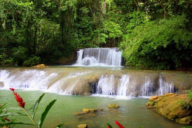 Ys Falls and Black River Safari Private Tour - Exploring Jamaica’s Natural Treasures in Depth
