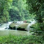 YS Falls and Sightseeing Tour Day Adventure - Authentic Experiences and Honest Insights