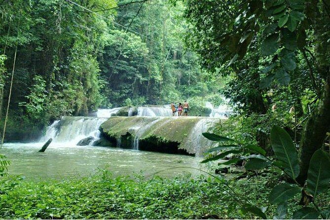 YS Falls and Sightseeing Tour Day Adventure - Authentic Experiences and Honest Insights