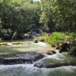 YS Falls, Black River Safari, and Floyd's Pelican Bar Day-Trip (Transportation) - The Sum Up