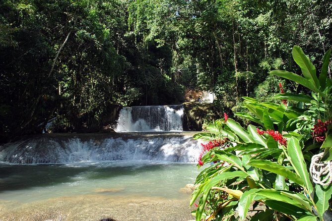 YS Falls, Black River Safari, Appleton Rum Tour OR Pelican Bar (Choose Up to 3) - Who Should Book This Tour?