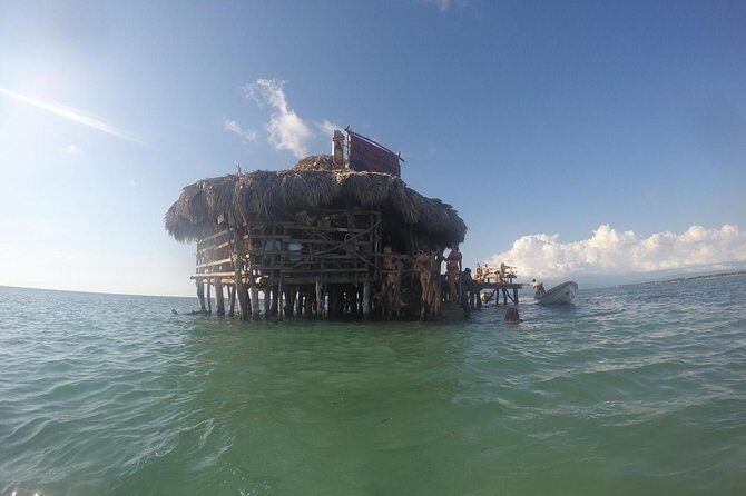 YS Falls, Black River Safari, Floyds Pelican Bar - Authentic Experiences and Real Traveler Insights