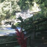Ys Falls, Floyds Pelican Bar, Black River Safari - Black River Safari: The Heart of Jamaica’s Wildlife