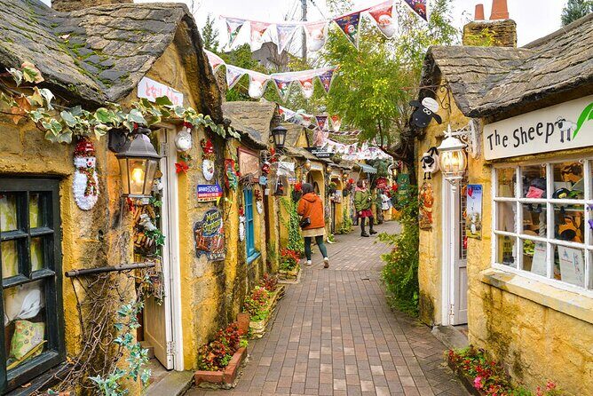 Yufuin Kinrin Lake Sea Hell Hot Springs Kyushu Zoo from Fukuoka - Value and Cost Analysis