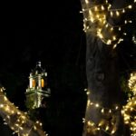 Yuletide in Mérida: A Private Tour Through Holiday Splendor - Exploring Mérida’s Christmas Market and Local Atmosphere