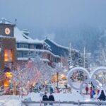 Yvr Airport to Whistler Private Shuttle Transfer for 24 Passenger - The Real Value: Comfort, Flexibility, and Convenience