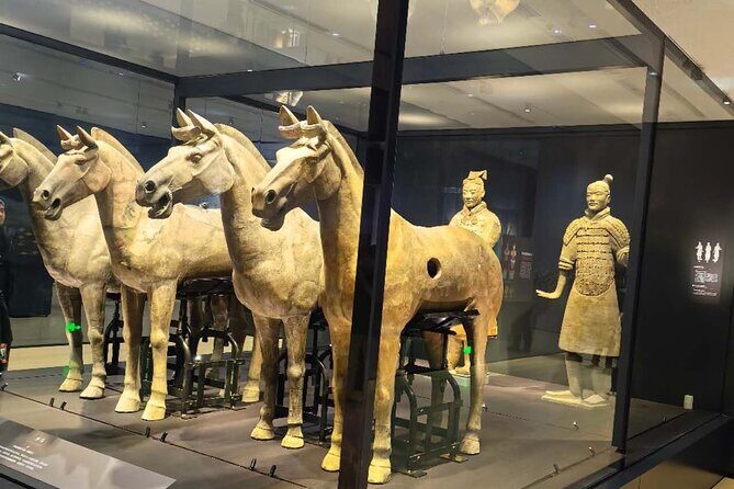 ZANBUS: Xi'an Qin Terra-cotta Warriors Bus Tour Departs at 8/9 AM - How the Tour Runs: Logistics and Practicalities