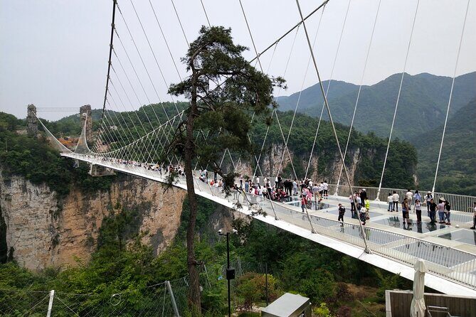 Zhangjiajie Glass Bridge and Grand Canyon Tickets Booking - Detailed Itinerary Breakdown