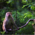 Zhangjiajie: Glass Bridge & Avatar Scenery Day - Thorough Breakdown of the Tour