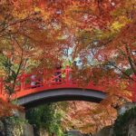 Zhongshan Botanical Garden Entry Ticket - Practical Tips for Visitors