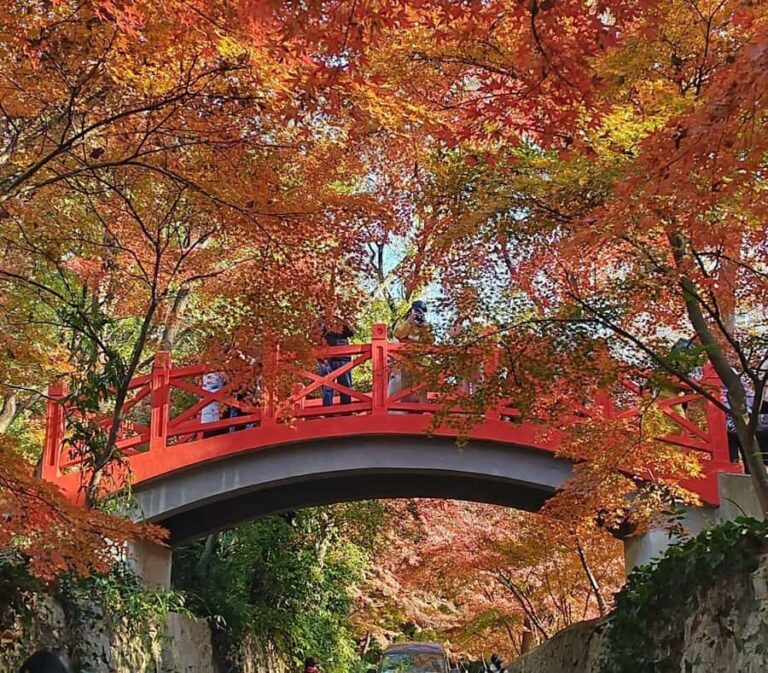 Zhongshan Botanical Garden Entry Ticket - Practical Tips for Visitors