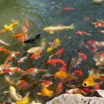 Zhujiajiao Cultural Experience: Boat Ride & Zongzi Making - Who Will Love This Tour?