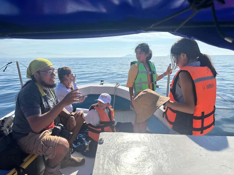 Zihuatanejo Ixtapa Humpback Whale Watching - The Itinerary: A Closer Look