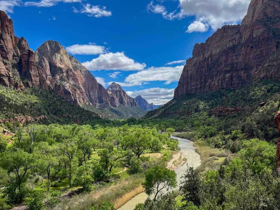 Zion National Park: Half-Day Hiking Tour with Guide - Price and Value