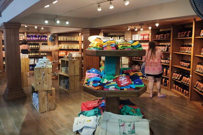 Zip Line Adventure or Zipline (Canopy) in Punta Cana - The Zipline Itself: Highlights and Considerations