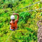 Zip Line Mountain Ride - What’s the Value?