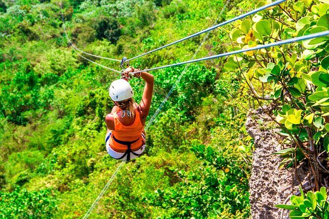 Zip Line Mountain Ride - What’s the Value?