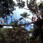 Zip Line over the Dunns River Falls - Exploring the Waterfalls
