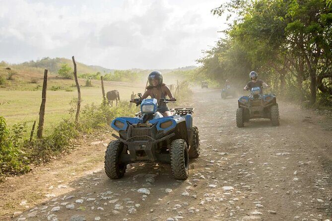 Zip-lining/Horseback Rides/Cat & Atv Inclusive Act with Transpo From Montego Bay - Practical Details and Tips