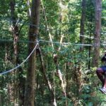 Zipline and River Tubing Adventure from Ocho Rios - What’s Included and What to Consider
