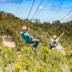 Zipline Experience: Sentry hill Zip & Flying Dutchman St Maartin - Who Is This Tour Best For?