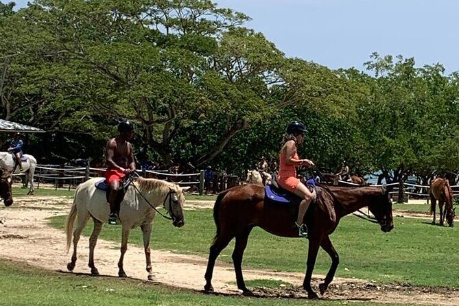 Zipline, Horseback Ride, ATV and Catamaran from Montego Bay - Frequently Asked Questions
