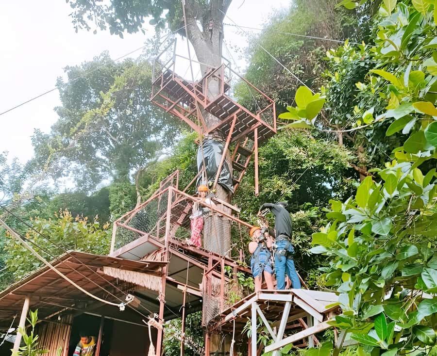 Zipline in Koh Samui Adventure activity tour - The Itinerary: What You Can Expect