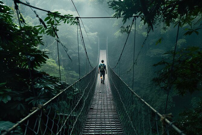 Zipline, Roller Cos Skywalk & with Lunch by EXPLERA DMC - Roller Coaster Thrills and Skywalk Views