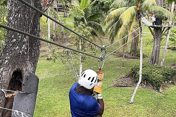 Ziplining and Dunn's River falls Combo from Montego Bay. - Who Will Love This Tour?