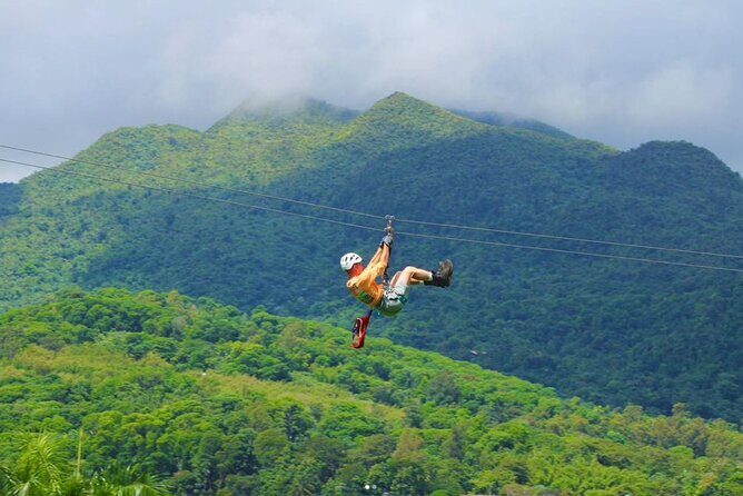 Ziplining at the Rainforest in Puerto Rico - Why This Tour Is Worth Considering